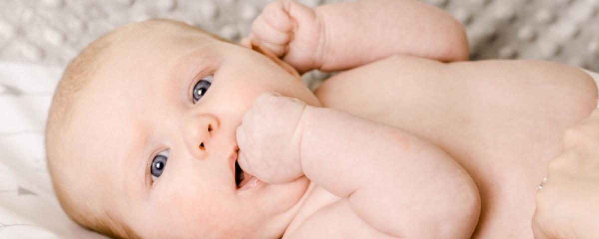 Step 8: Encourage feeding on cue | TexasTenStep.org