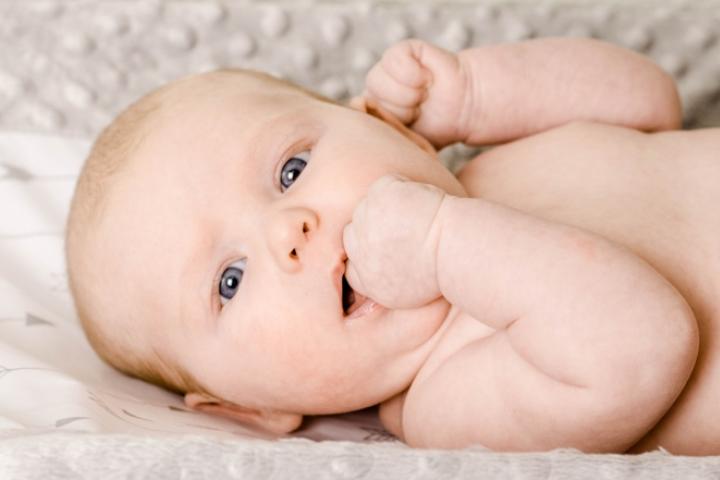 Step 8: Encourage feeding on cue | TexasTenStep.org